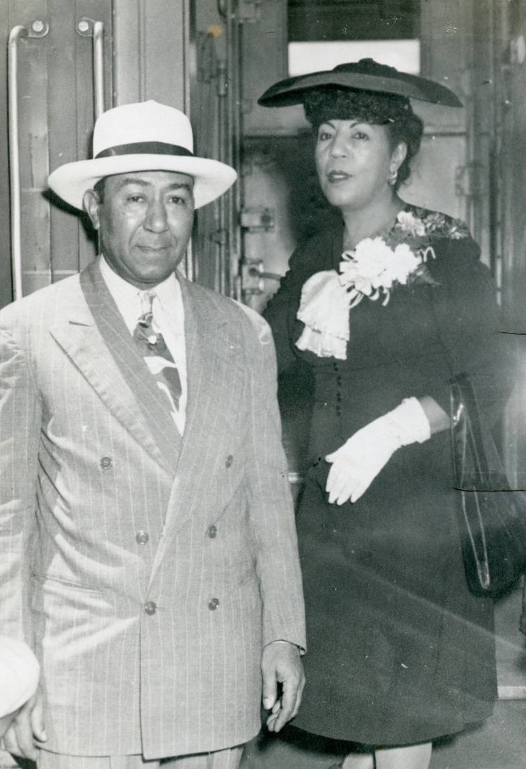 Anna Johnson Dupree - A Curious Histonian