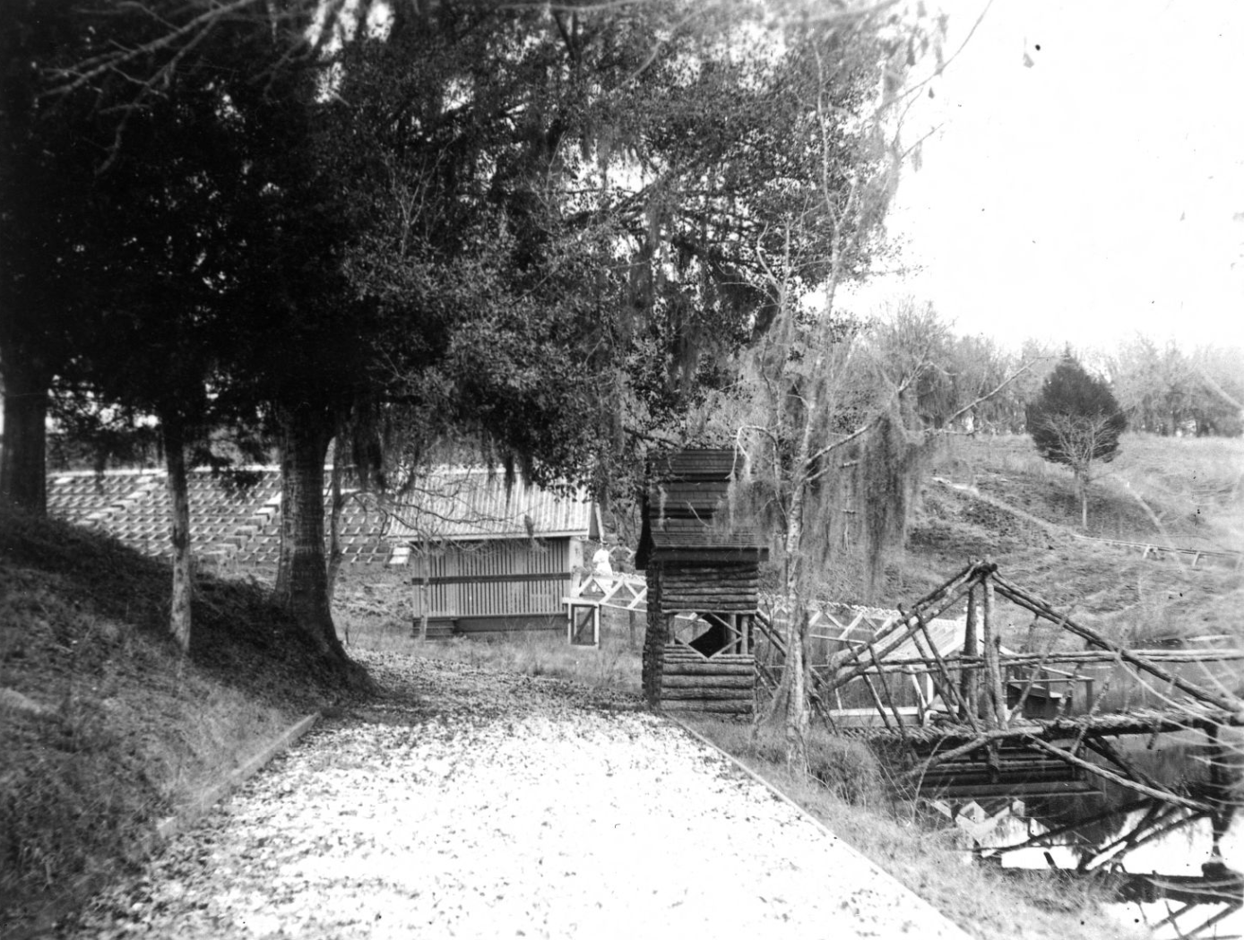 Scenes at Vick's Park: 1895 - A Curious Histonian